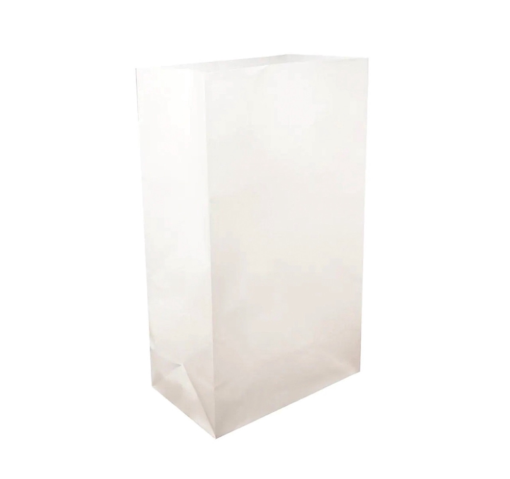 Crown/SF ** Plain White Grocery Bags No.20, 500pcs – CHEF's DEPOT